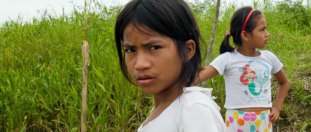 Der Amazonas Regenwald: faszinierend aber in Gefahr